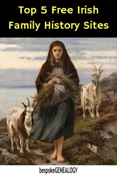 Top 5 Essential Free Irish Genealogical Sites - Bespoke Genealogy