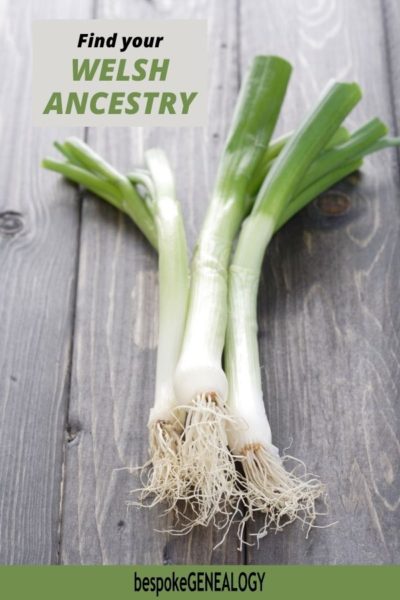 Find your Welsh Ancestry - Bespoke Genealogy